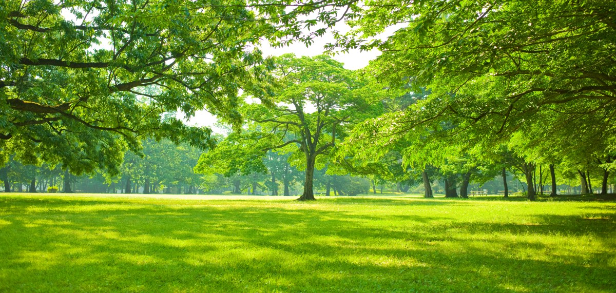 Day 3 – Stephen Drain's Leadership Blog