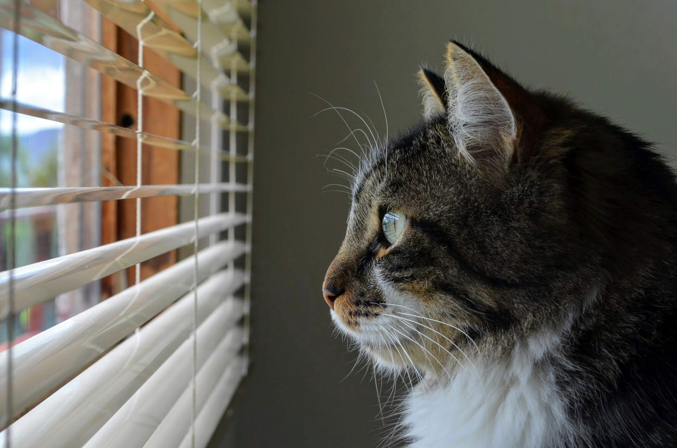 Team Leadership – Stephen Drain's Leadership Blog